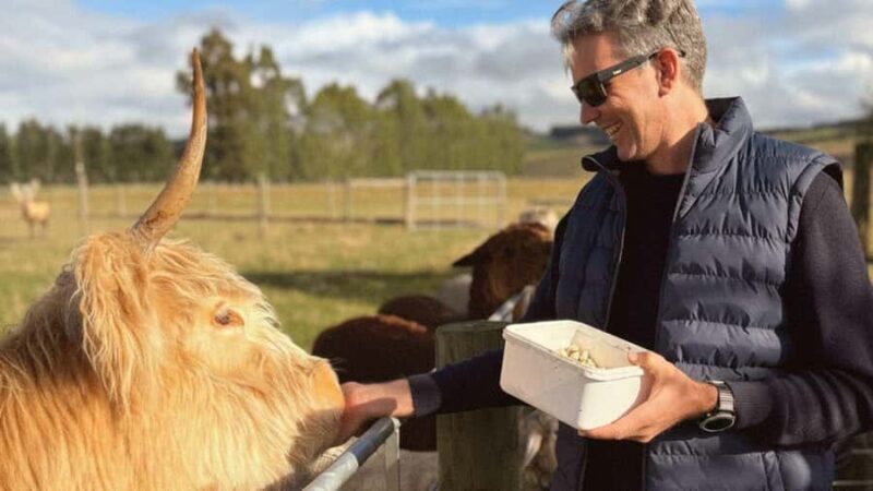 Te Anau: Milford Sound Coach & Cruise with Farm Experience - An Introduction to the Tour Experience