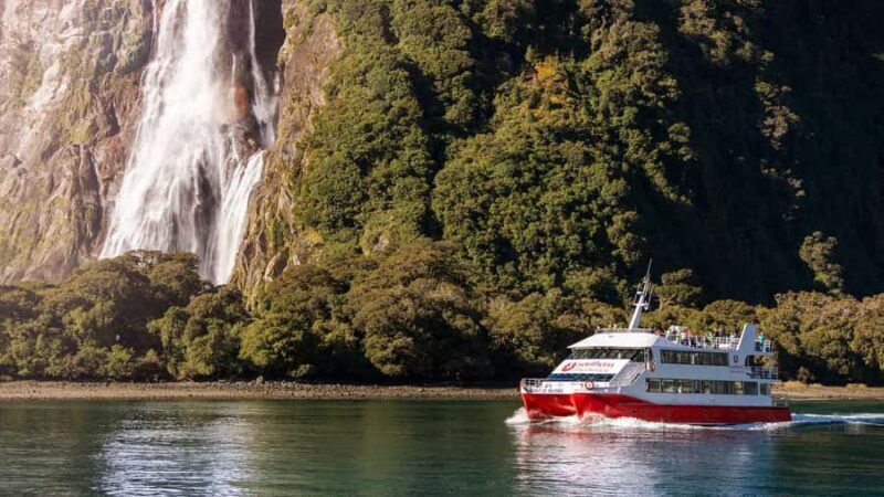 Te Anau: Milford Sound Coach & Cruise with Farm Experience - Scenic Coach Ride Along Milford Road