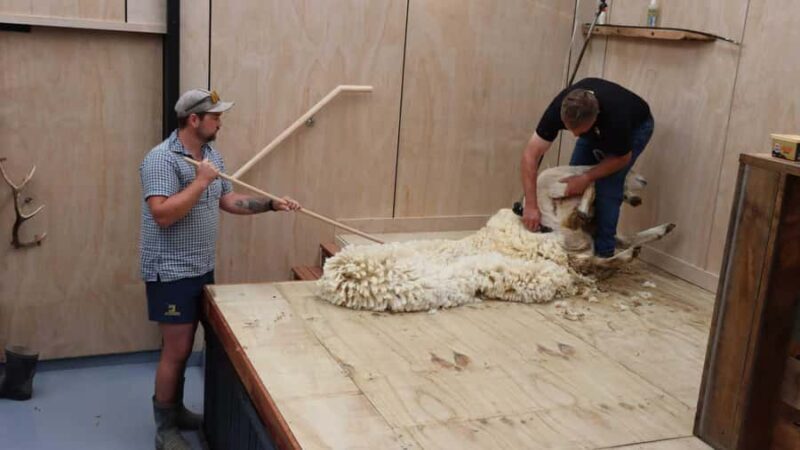 Te Anau: Milford Sound Coach & Cruise with Farm Experience - Who Would Love This Tour?