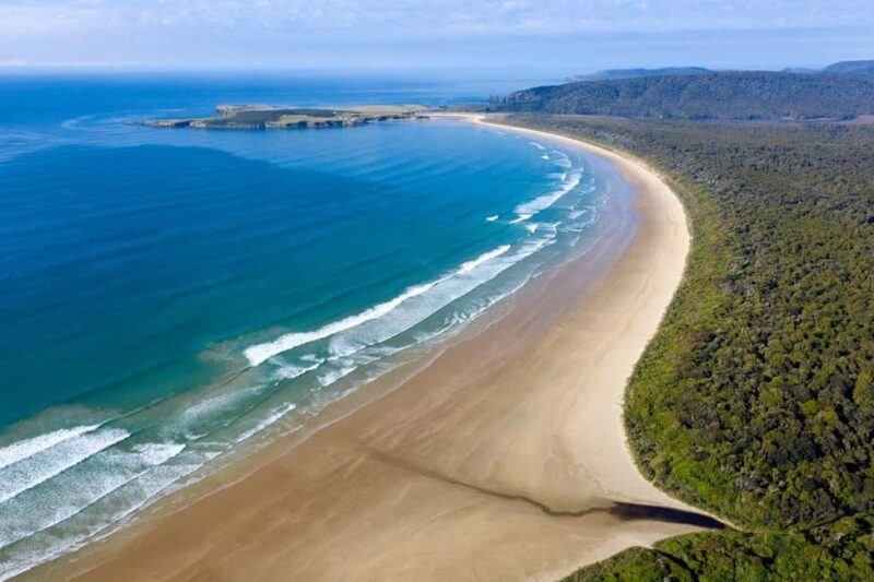 Te Anau to Dunedin via the Catlins & Invercargill 1 Way Tour - Key Points