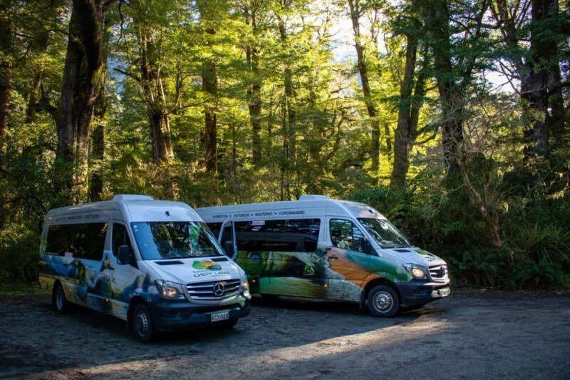 Te Anau to Queenstown inc Milford Sound Tour, Cruise & Lunch - An In-Depth Look at the Milford Sound Tour