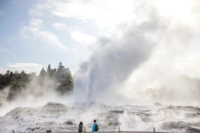 TE PUIA Geothermal, Polynesian Spa & Blue Springs Day Tour Ex AKL - Why This Tour Works for Different Travelers