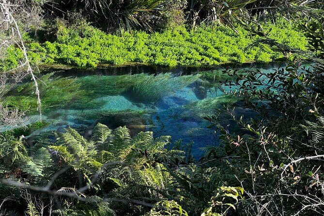 TE PUIA Geothermal, Polynesian Spa & Blue Springs Day Tour Ex AKL - FAQs about the TE PUIA Geothermal, Polynesian Spa & Blue Springs Day Tour