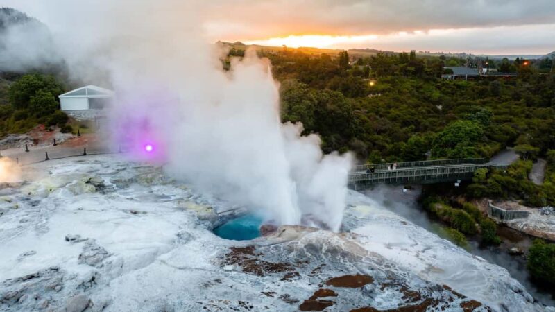 Te Puia: Te P Evening Hng Buffet and Cultural Experience - Key Points