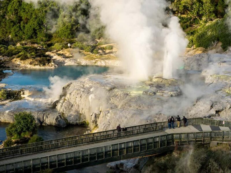 Te Puia: Te P Indigenous Combo - Tour, Dinner + Haka - Authentic Experiences from Travelers