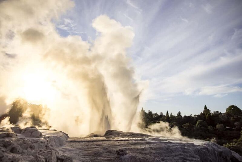 Te Puia: Te R Guided Day Tour - An In-Depth Look at the Tour Experience
