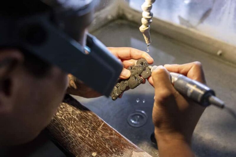 Te Puia: Tuku Iho Trail with Cultural Show - Who Will Love This Tour?