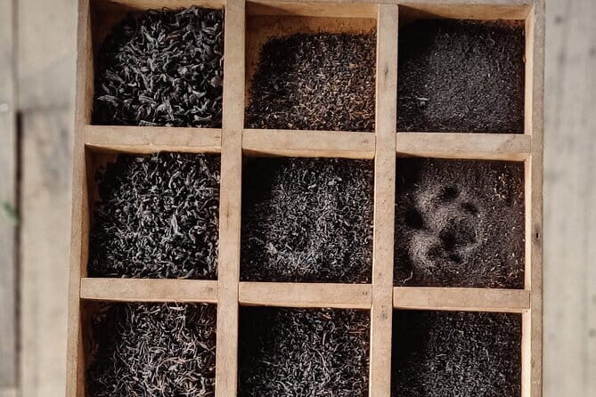 Tea Adventure- Haputale, Tea Plantation Tour with Lunch - An In-Depth Look at the Tour Itinerary