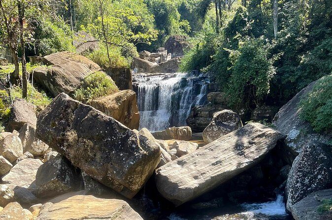 Tea Country Day Tour from Kandy - Nuwara Eliya - The Sum Up