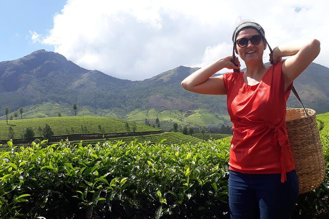 Tea Farm Tourism - Exploring Tea Farm Tourism in Munnar: A Blend of Nature and Knowledge