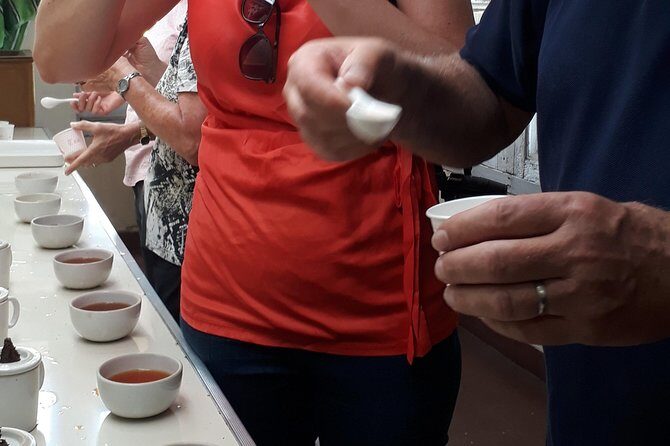 Tea Farm Tourism - Final Reflection