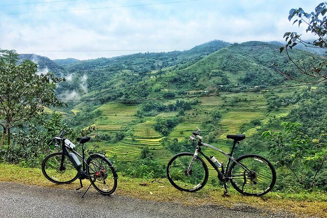Tea Fields by Bicycle from Kandy - Introduction: A Refreshing Way to Explore Kandy’s Tea Country