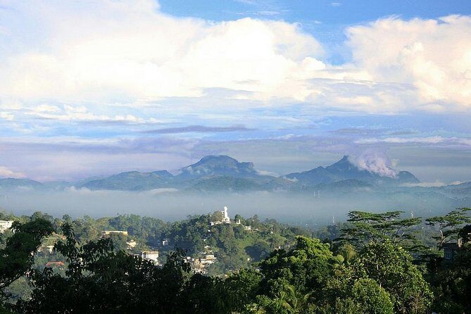 Tea Fields by Bicycle from Kandy - Key Points: