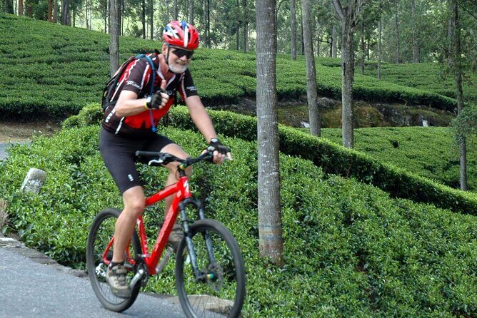 Tea Fields by Bicycle from Kandy - The Practical Details: How It All Comes Together