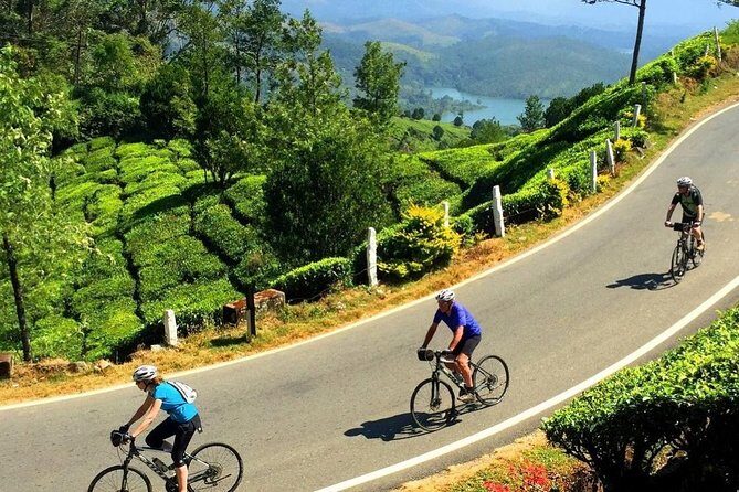 Tea Fields by Bicycle from Kandy - Who Should Consider This Tour?