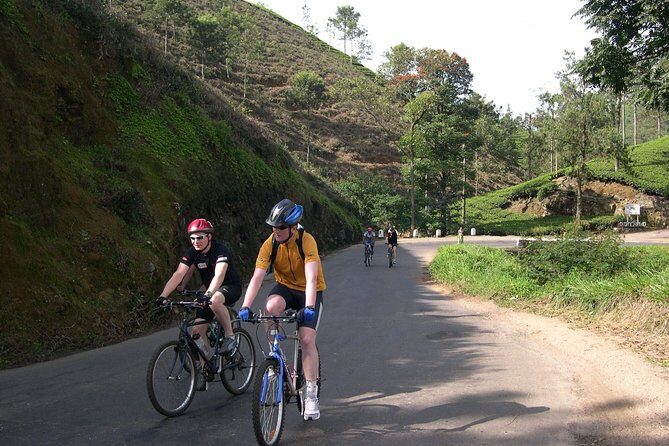 Tea Fields by Bicycle from Kandy - The Sum Up: A Unique Blend of Nature, Culture, and Activity