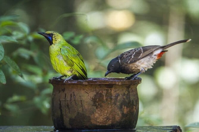 Tea Loops E-Biking - Who Will Love This Tour?