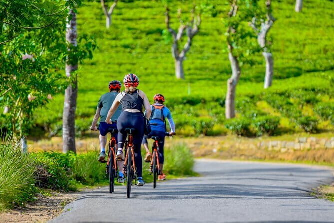 Tea Loops E-Biking - FAQs