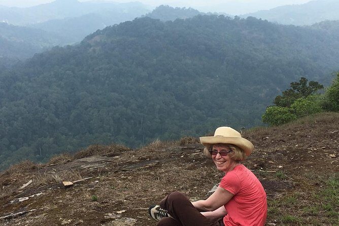 Tea plantation walk and stay in valley view Room (By Munnar Info) - Day 1: Sunset & Scenic Vistas