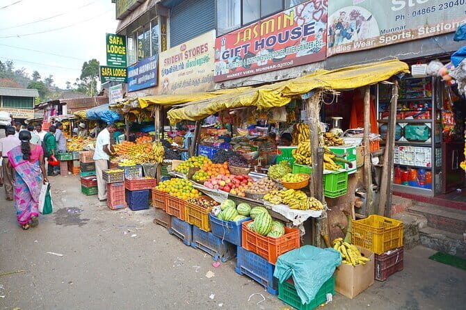 Tea plantation walk with Visit of Historical ,village & Market - Who Will Enjoy This Tour?