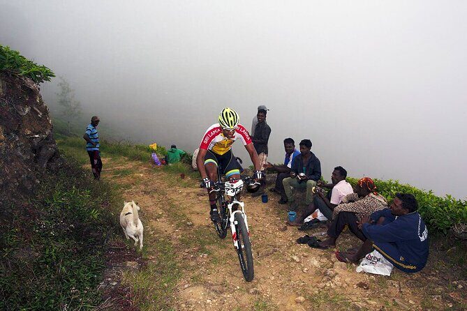 Tea Trails by Bicycle from Nuwara Eliya - The Sum Up: Who is This Tour Best For?