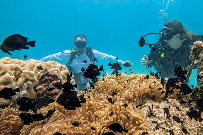 Teahupo'o Jurassic Tour and Private Diving - Who Will Love This Tour?
