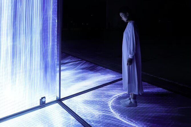 Team Lab Planets Tokyo Timed Entry Admission Ticket - The Sum Up