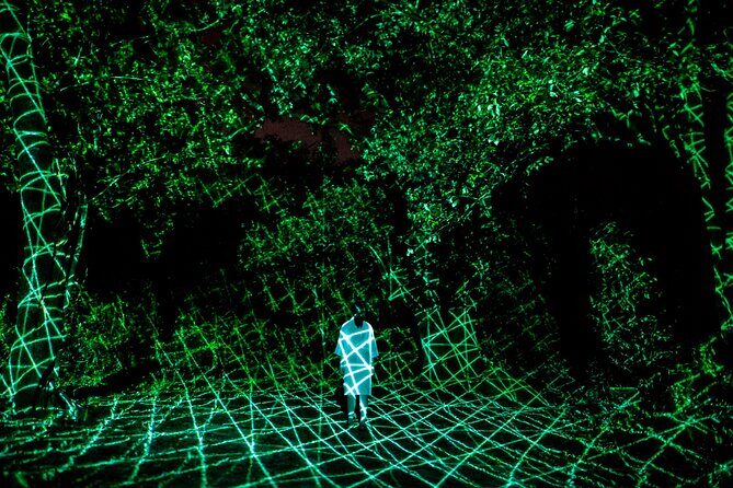 TeamLab Botanical Garden Osaka Ticket - Who Should Consider This Tour?