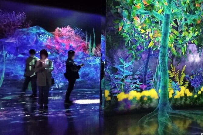 teamLab Forest Fukuoka an Immersive Art Experience Ticket - Review of teamLab Forest Fukuoka: An Interactive Digital Art Experience