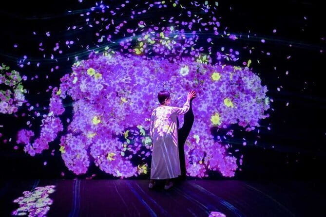 teamLab Forest Fukuoka an Immersive Art Experience Ticket - FAQ about teamLab Forest Fukuoka