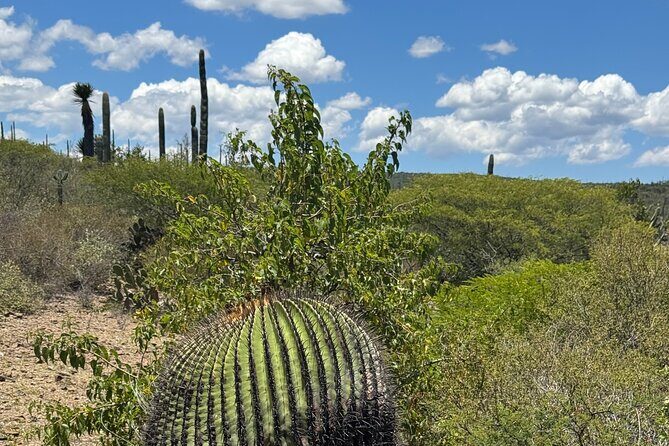 Tehucan Day Tour and Biosphere Reserve - An Introduction to the Tour Experience