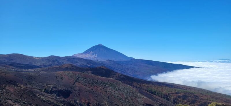 Teide National Park and Vilaflor ; local wine tasting - Practical Aspects and Comfort
