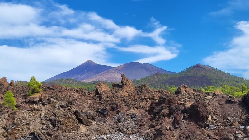 Teide National Park and Vilaflor ; local wine tasting - Final Thoughts