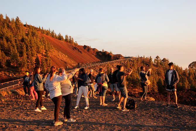 Teide National Park Exclusive and private Tour - Who Should Book This Tour?