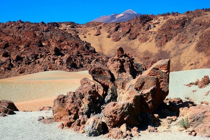 Teide National Park Full Experience with Professional Guide - Exploring the Teide National Park Full Experience with a Professional Guide