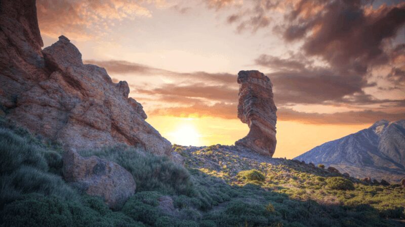 Teide National Park: Landscapes and Viewpoints Private Tour - Key Points