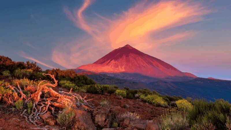 Teide National Park: Landscapes and Viewpoints Private Tour - An In-Depth Look at the Experience