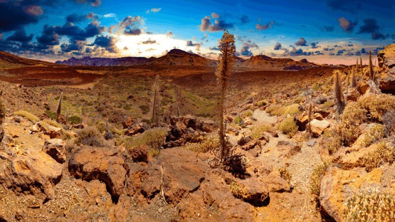 Teide National Park: Landscapes and Viewpoints Private Tour - FAQ