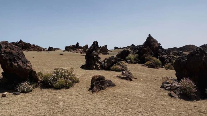 Teide & Secret Volcanoes  Tour Tenerife with a German Guide (8h) - Who Should Consider This Tour?