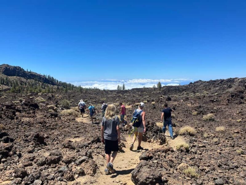 Teide & Secret Volcanoes  Tour Tenerife with a German Guide (8h) - The Sum Up