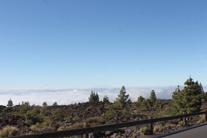 Teide Volcano National Park Quad Biking Tour - The Sum Up