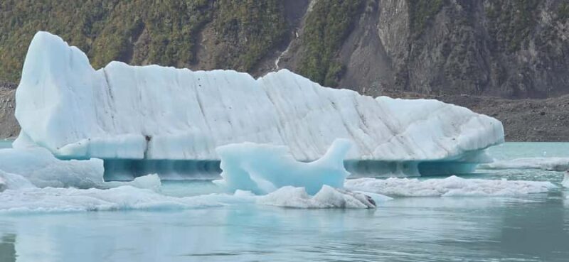 Tekapo to Mt. Cook National Park Day Tour with Driver - An Honest Look at the Experience