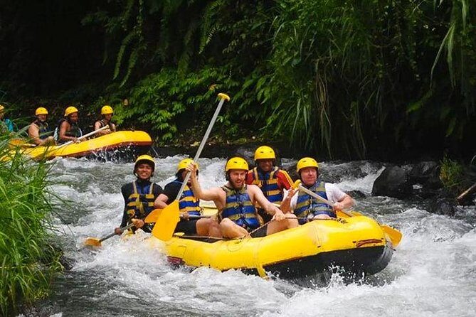 Telagawaja Rafting & East of Bali Tour - Authentic Experiences and What Travelers Say