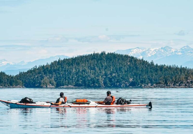 Telegraph Cove: 2-Hour Day or Evening Kayaking Tour - Key Points