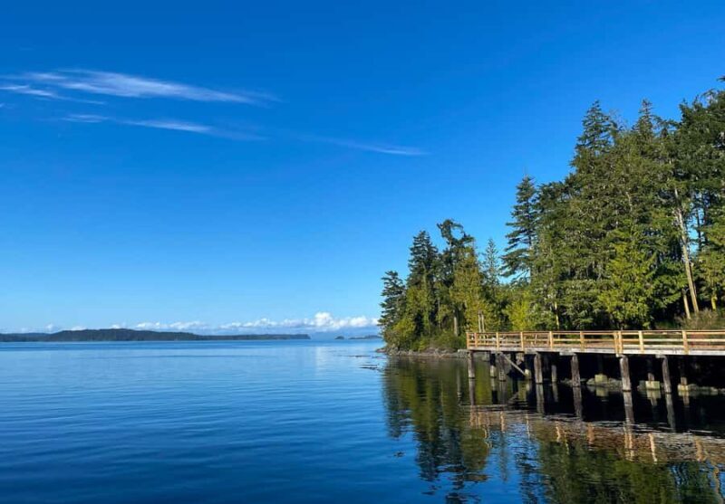 Telegraph Cove: 2-Hour Day or Evening Kayaking Tour - An Introduction to the Telegraph Cove Kayaking Experience