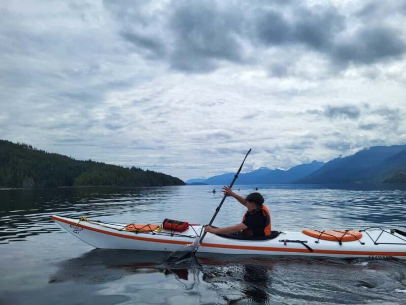 Telegraph Cove: 2-Hour Day or Evening Kayaking Tour - FAQ