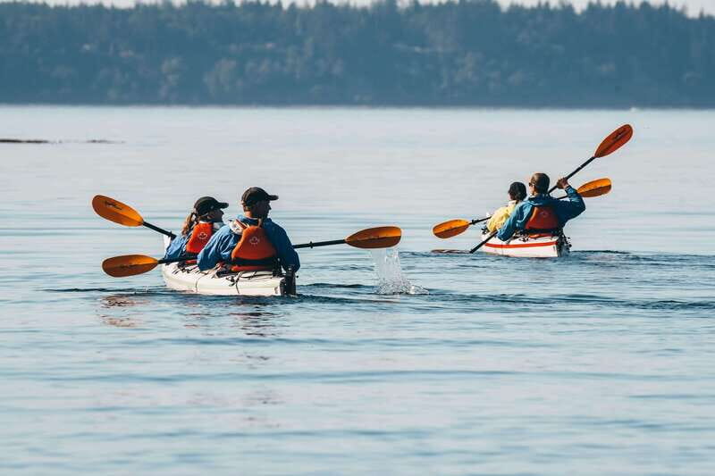 Telegraph Cove: Day Trip Kayaking Tour - Telegraph Cove: Day Trip Kayaking Tour