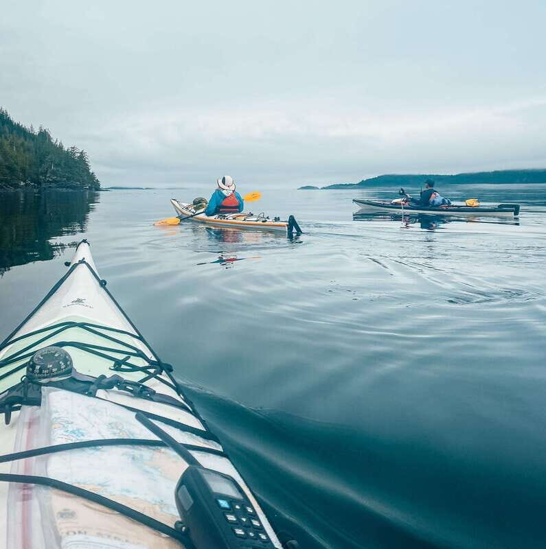 Telegraph Cove: Day Trip Kayaking Tour - Who Should Consider This Tour?