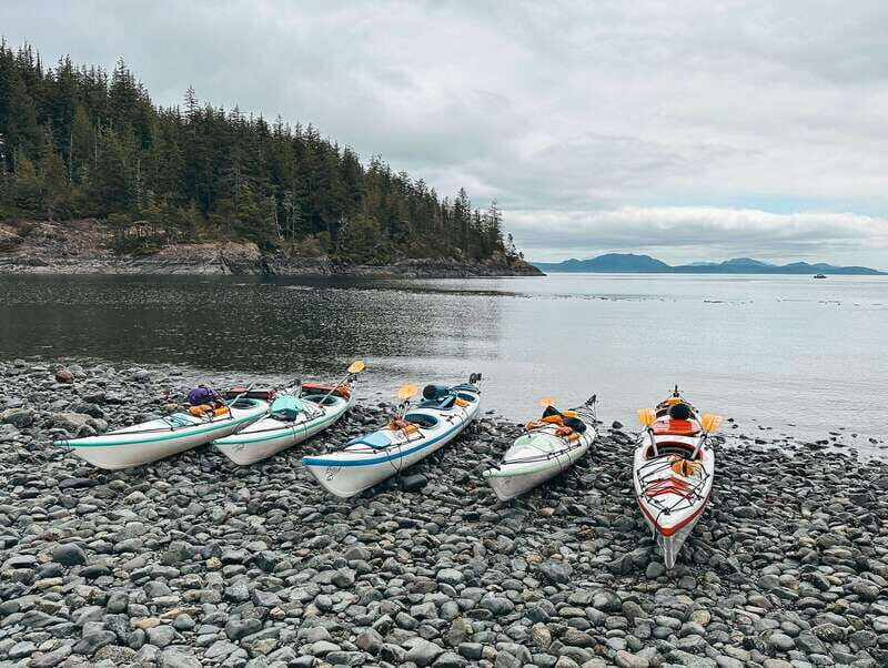 Telegraph Cove: Day Trip Kayaking Tour - In The Sum Up