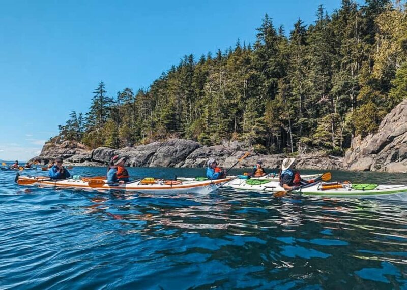 Telegraph Cove: Full-Day Trip Kayaking Tour - What Makes This Tour Stand Out?
